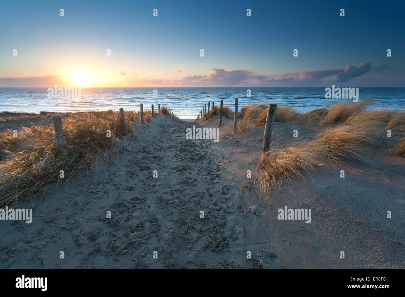 sunset over North sea beach, north Holland, Netherlands Stock Photo - Alamy