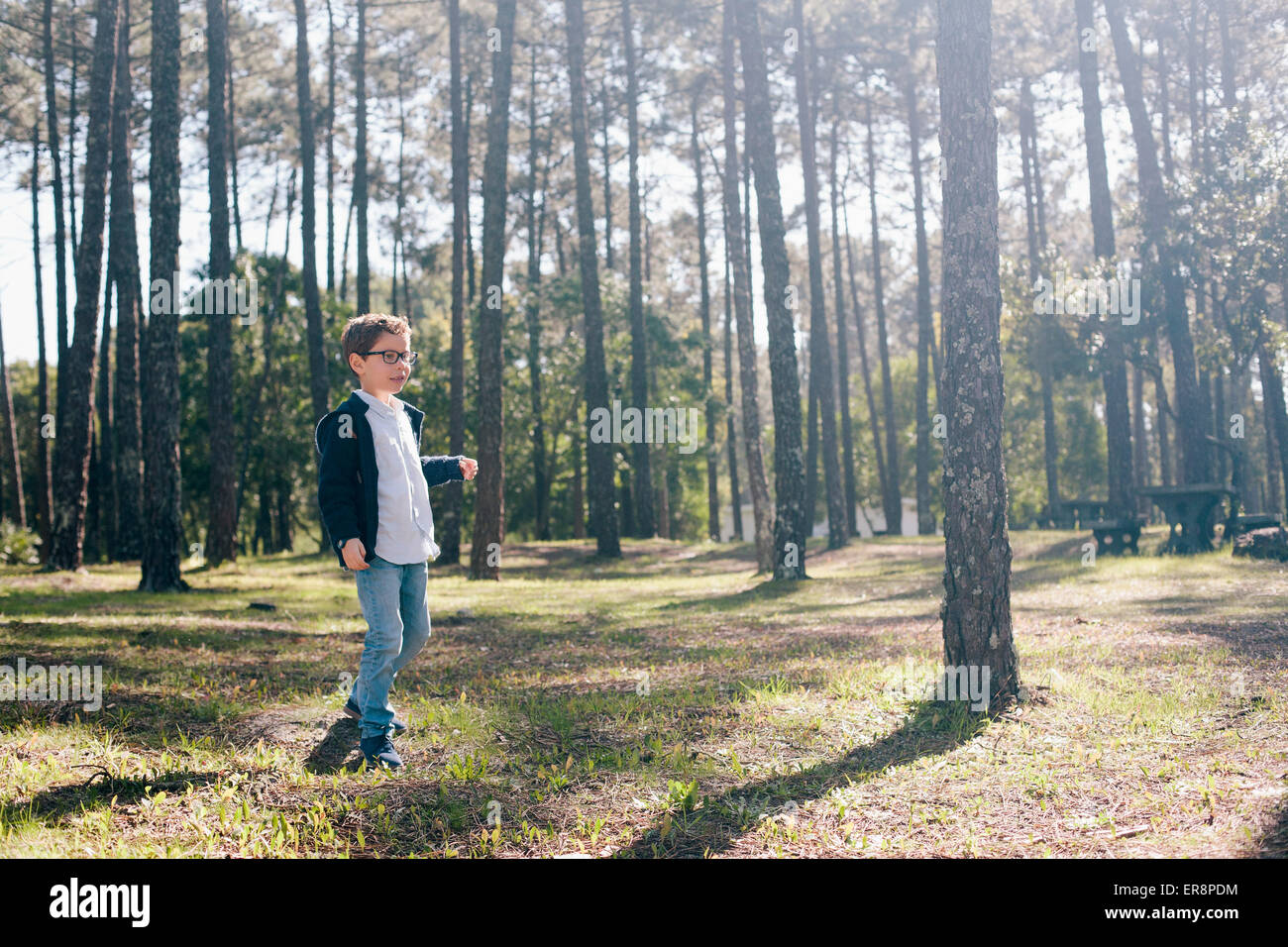 Boys in the forest hi-res stock photography and images - Alamy
