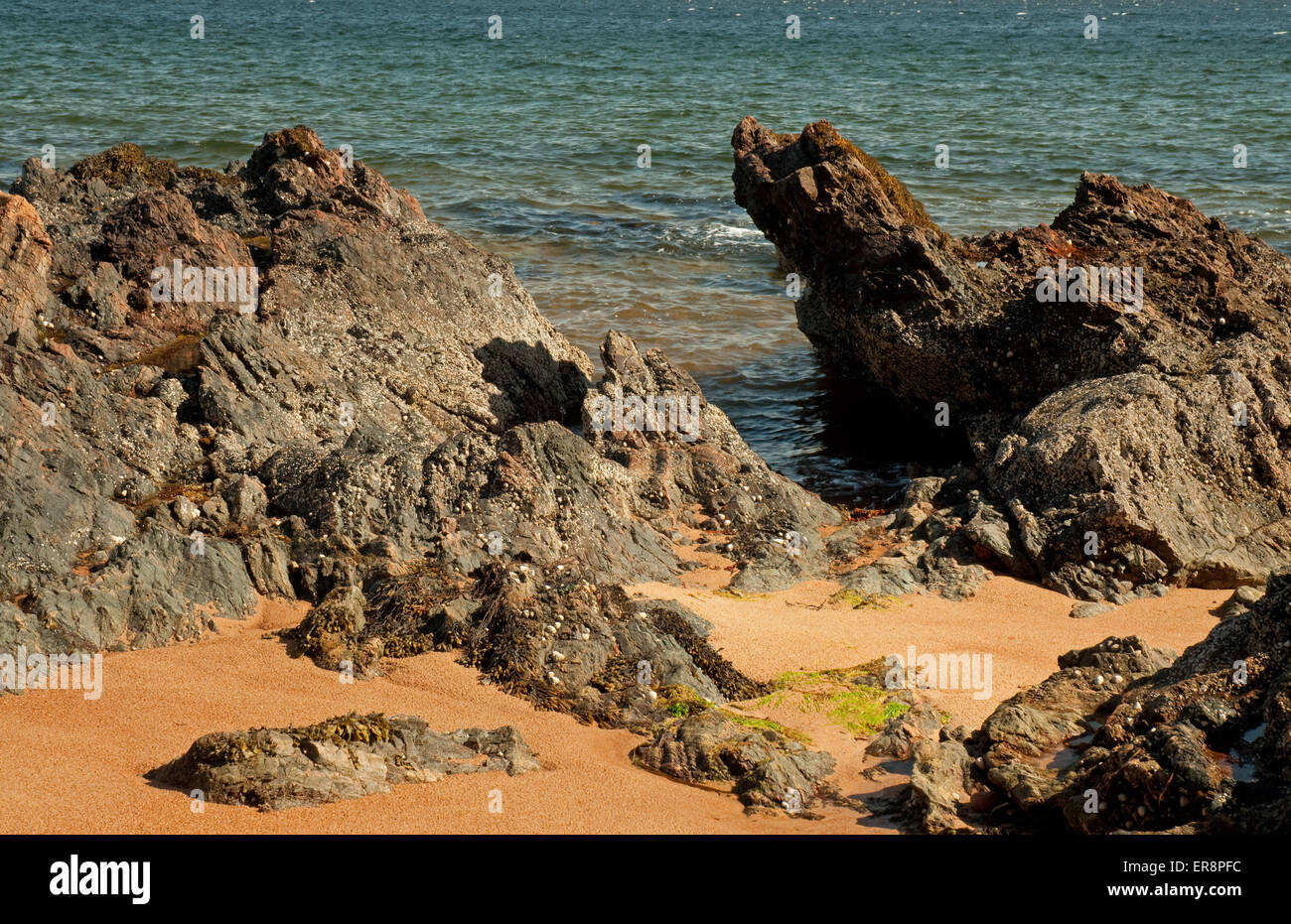 Rocks on Rosemarkie Beach Stock Photo - Alamy