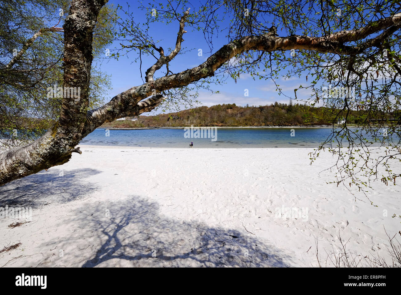 The 'Silver Sands of Morar' is the Scottish Highlands is on the North ...