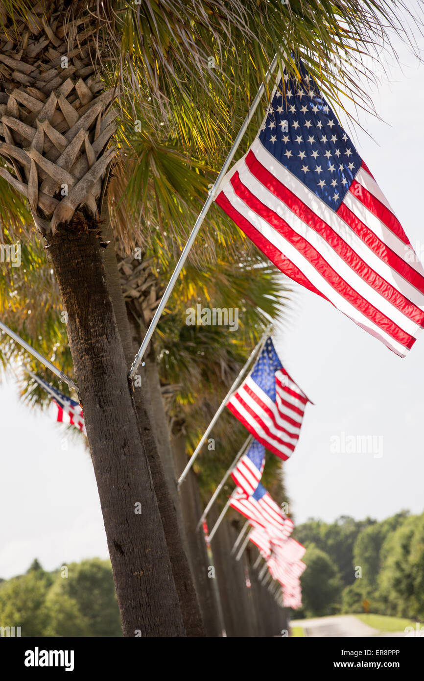 American flags decorate palm trees for Independence Day celebrations ...