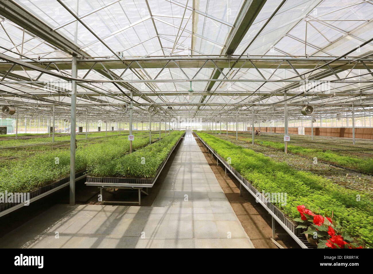 Korea places general hi-res stock photography and images - Alamy