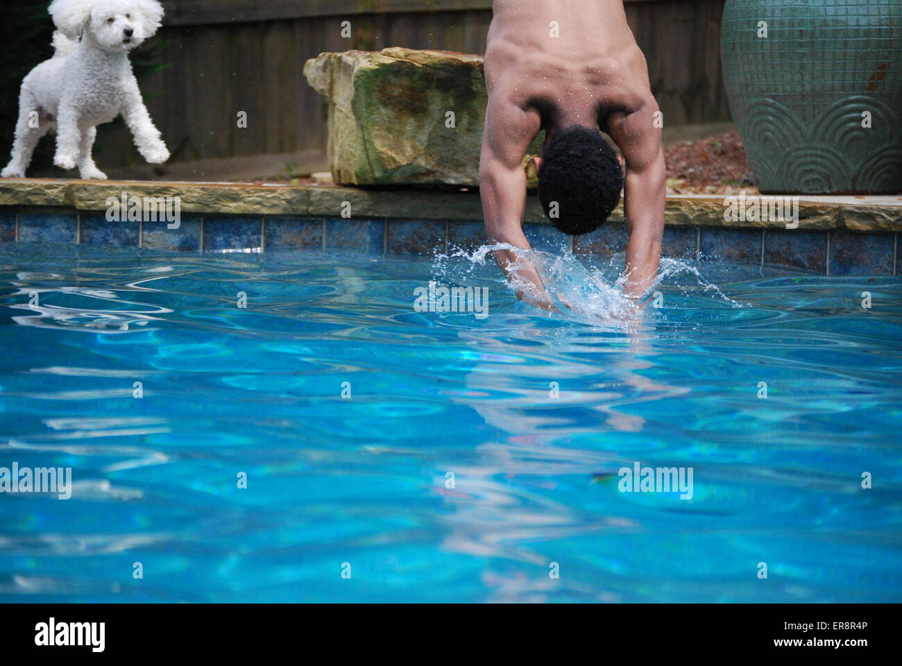 Splash pool dive hi-res stock photography and images - Alamy