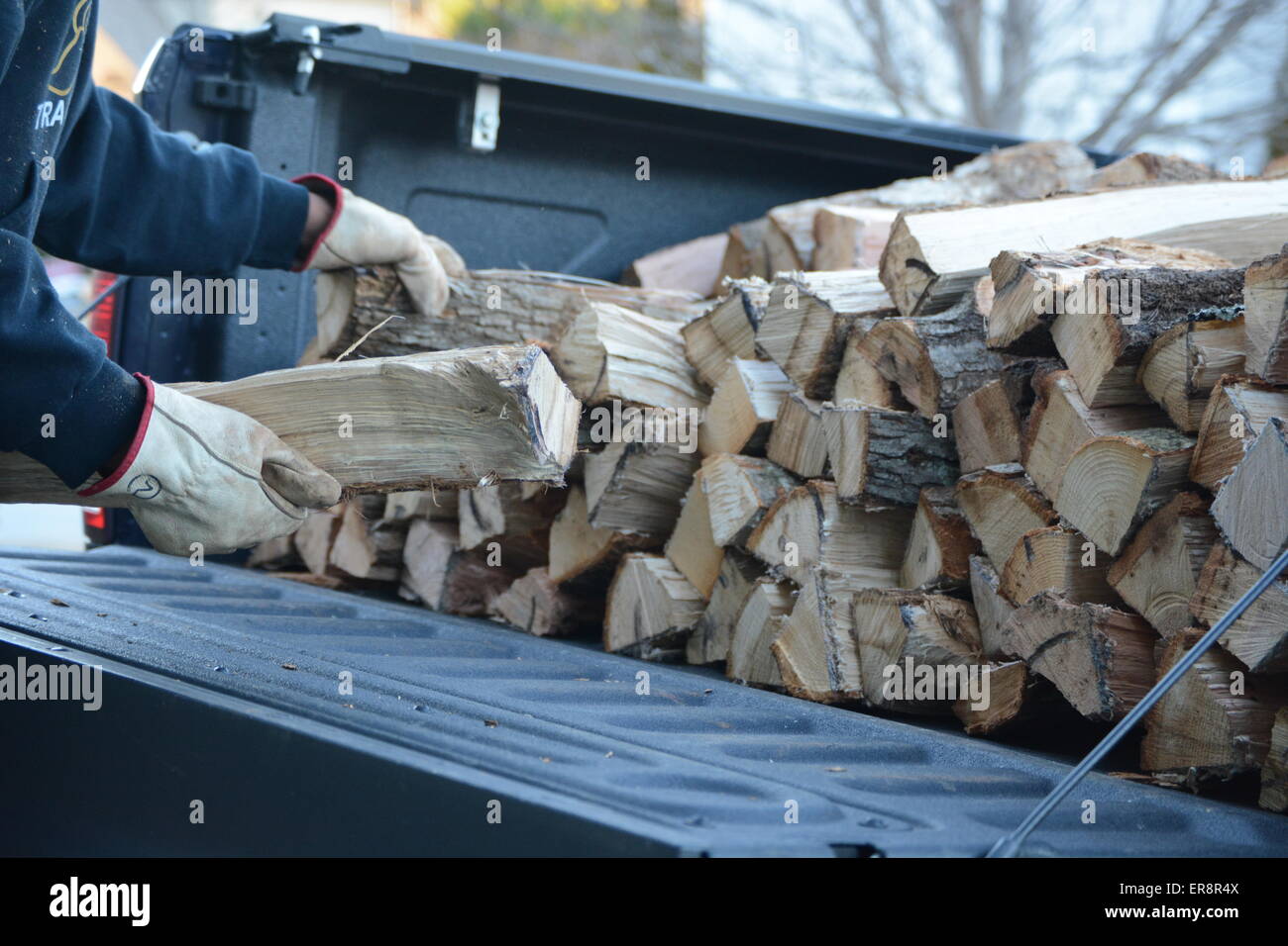 Gather firewood hi-res stock photography and images - Alamy
