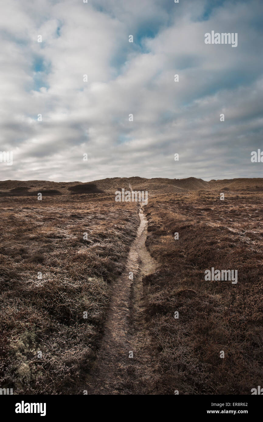 Denmark landscape hi-res stock photography and images - Alamy