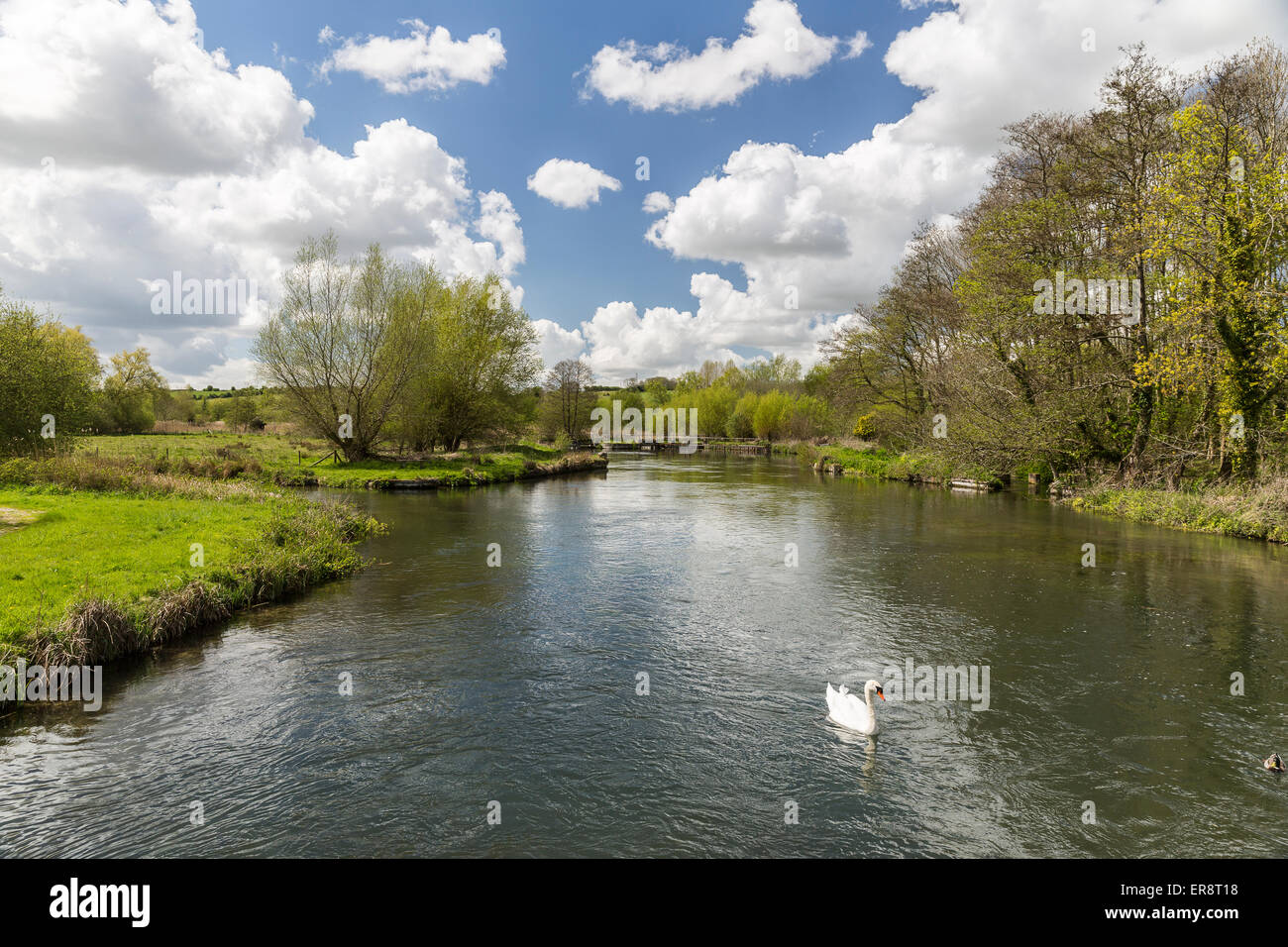 River Test at Longstock, Hampshire, England, UK Stock Photo - Alamy