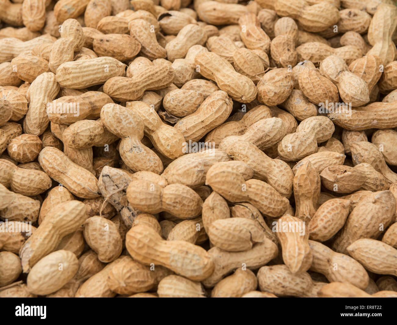 Harvesting peanuts hi-res stock photography and images - Alamy