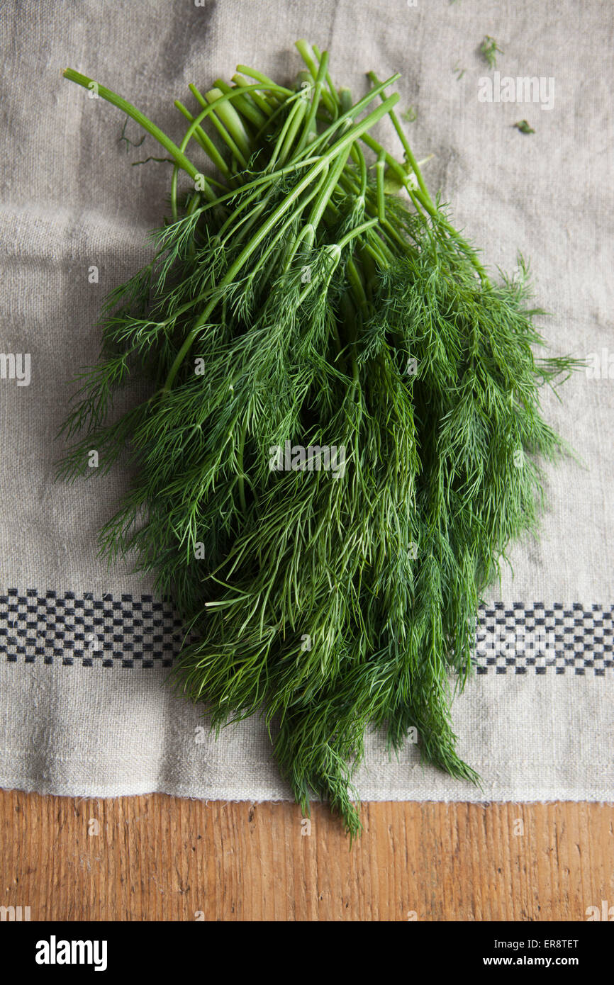 Dill leaves hi-res stock photography and images - Alamy