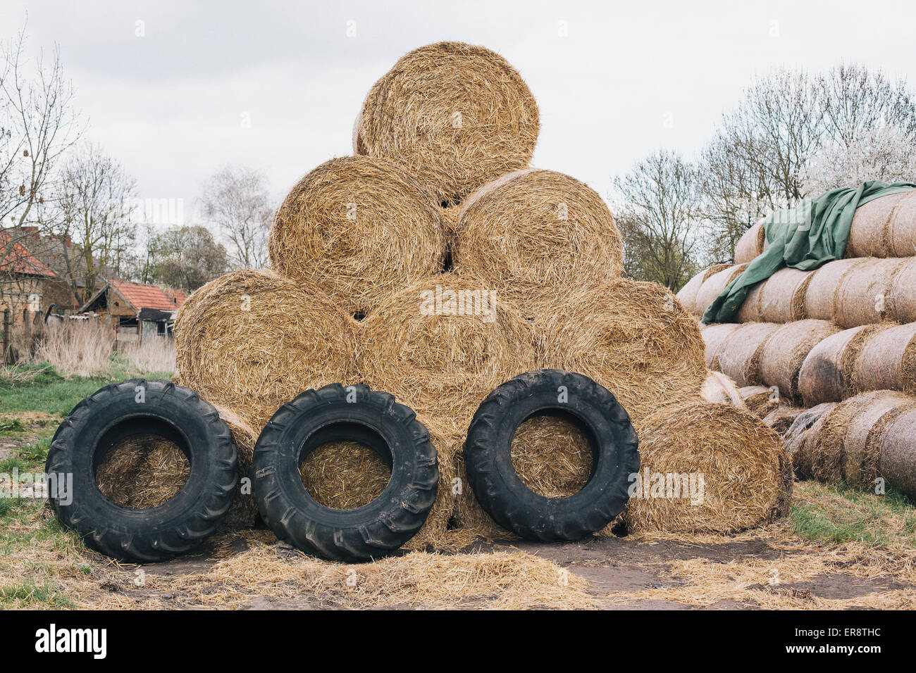 Stacked hay bales and tires on farm Stock Photo - Alamy