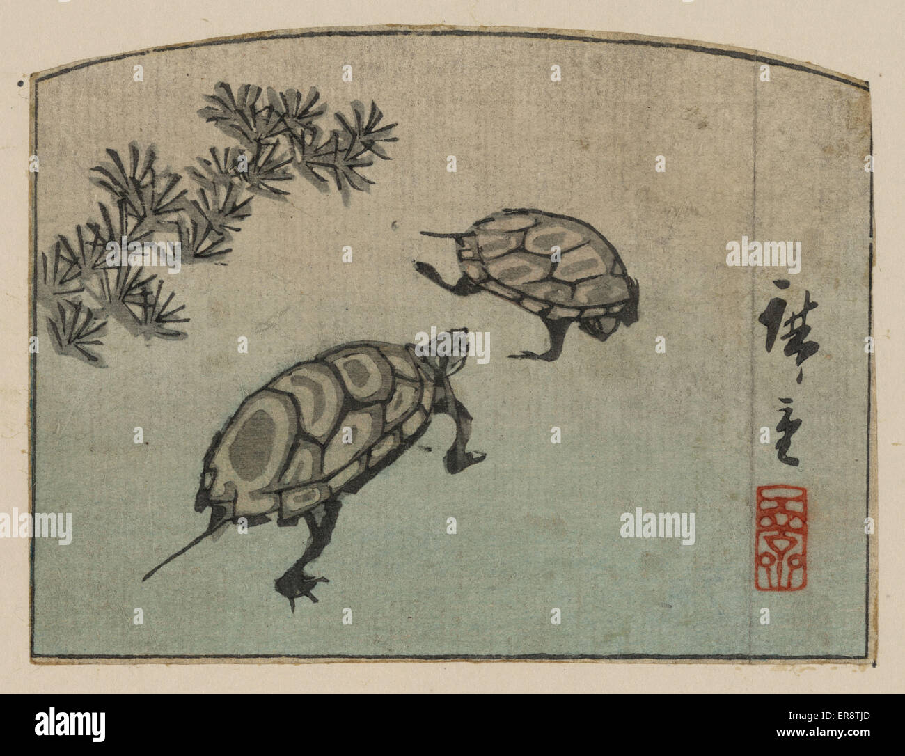 The turtles hi-res stock photography and images - Alamy