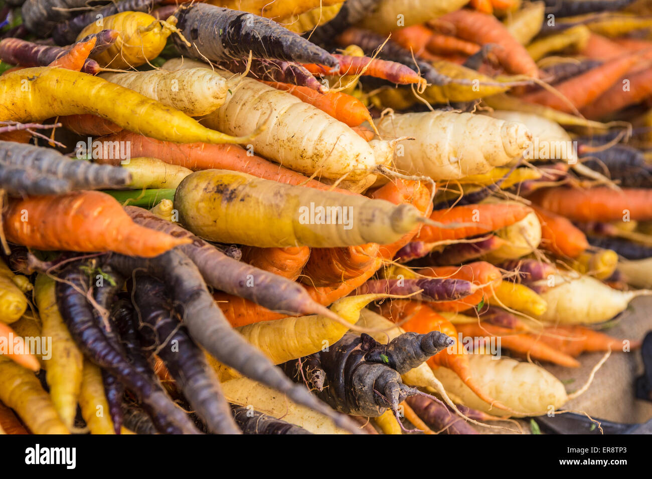 Organic carrot many colors hi-res stock photography and images - Alamy