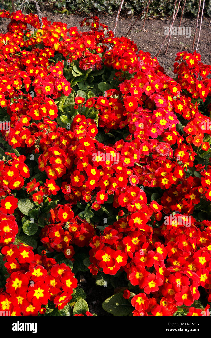 Crescendo hi-res stock photography and images - Alamy