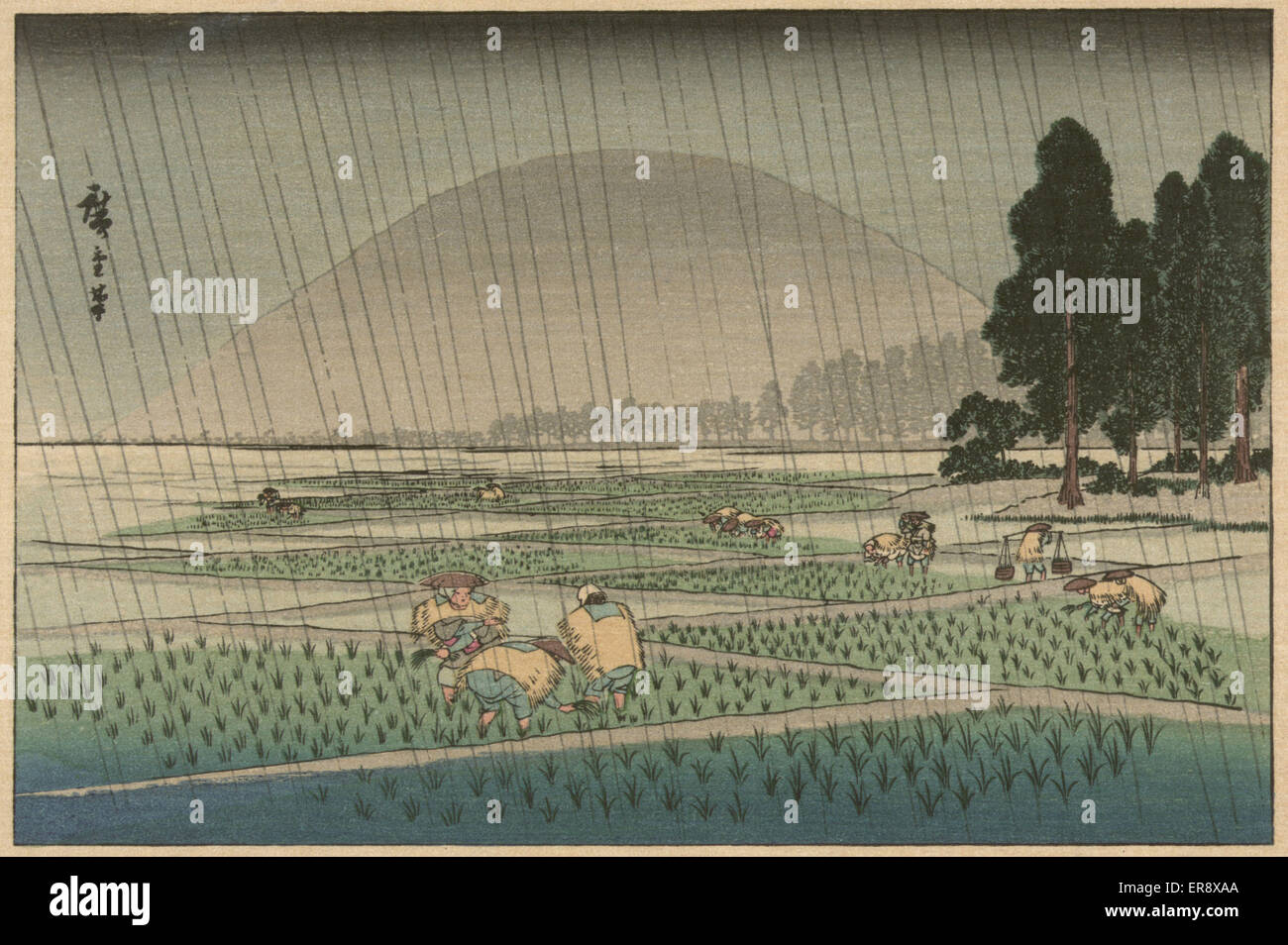 Rice paddies rain hi-res stock photography and images - Alamy