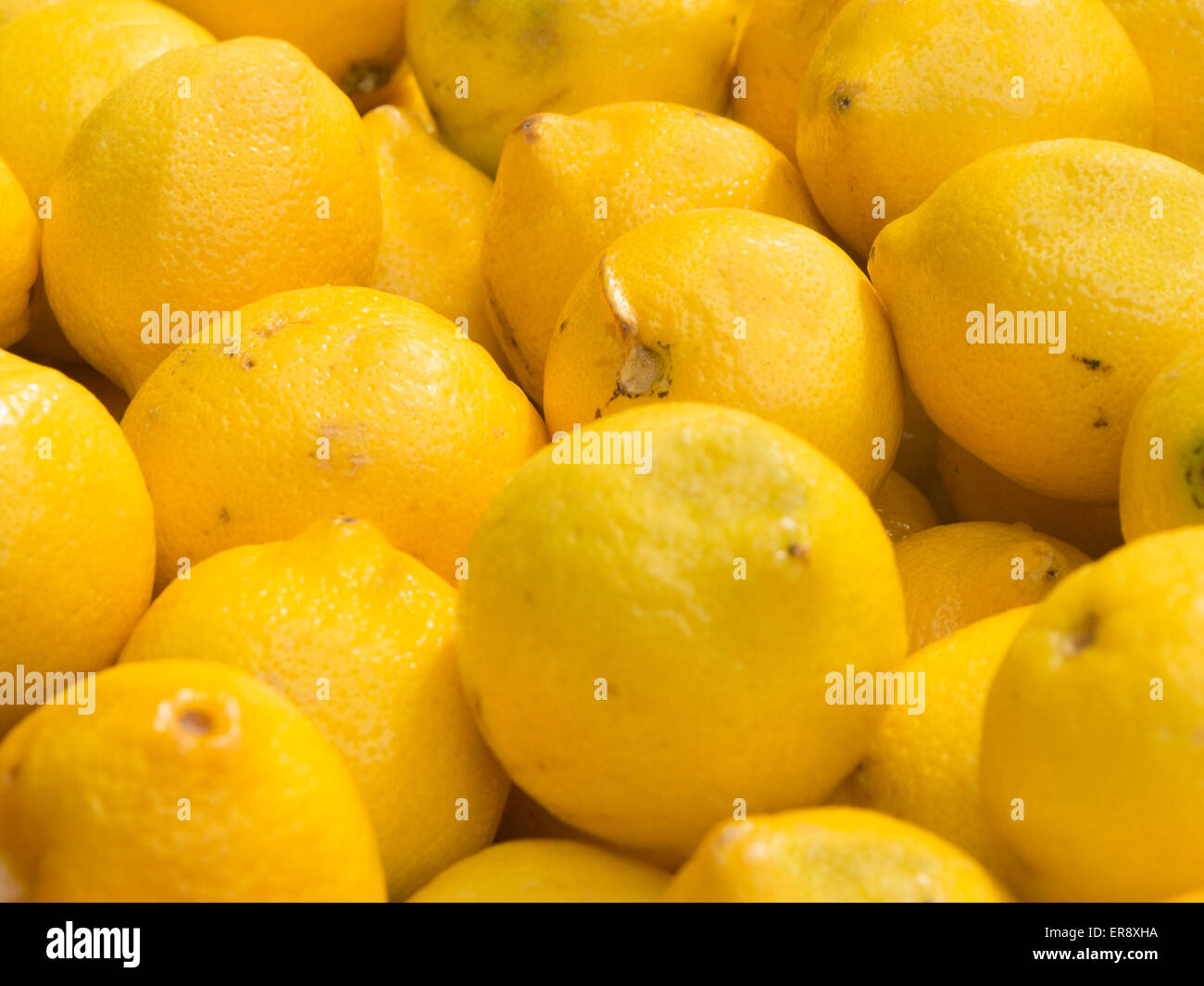 Harvesting lemons hi-res stock photography and images - Alamy