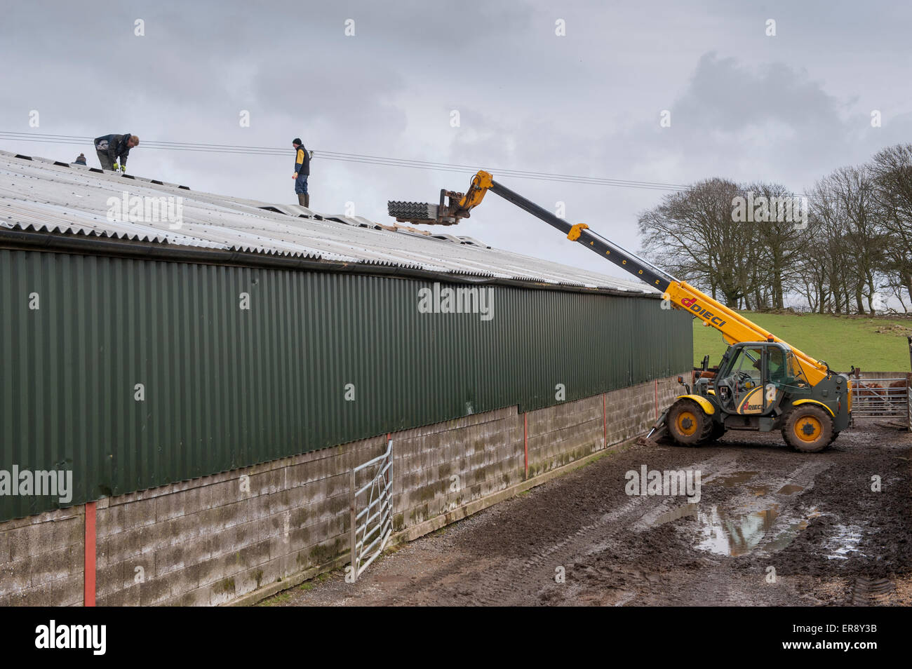 Roofing sheets hi-res stock photography and images - Alamy