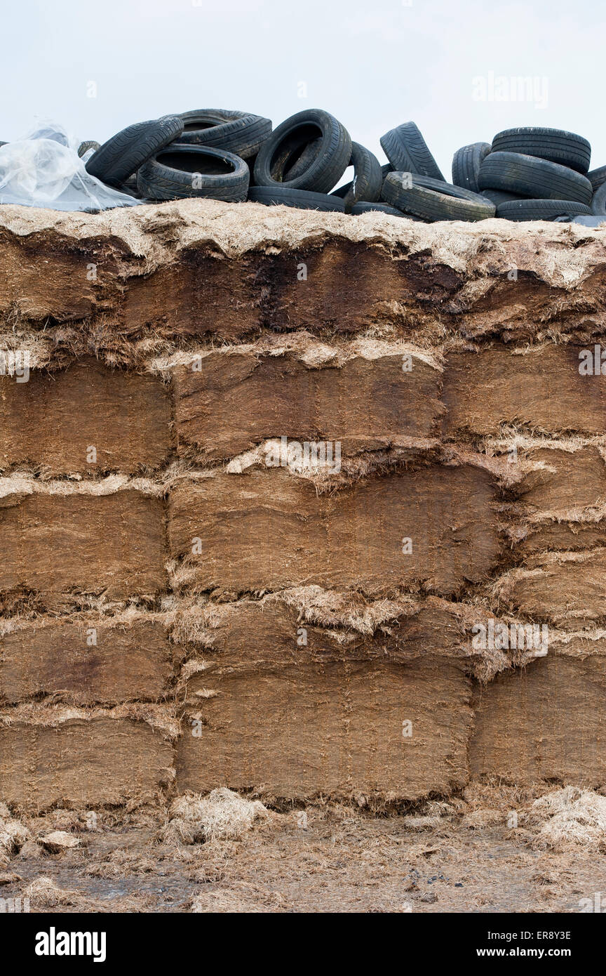 Face of a silage clamp, cut using a shear grab to seal the face to stop ...