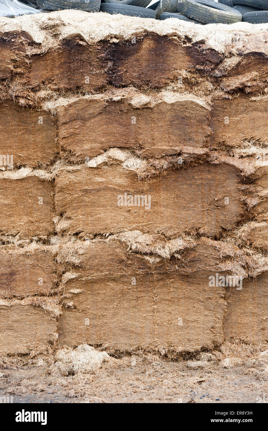 Face of a silage clamp, cut using a shear grab to seal the face to stop ...