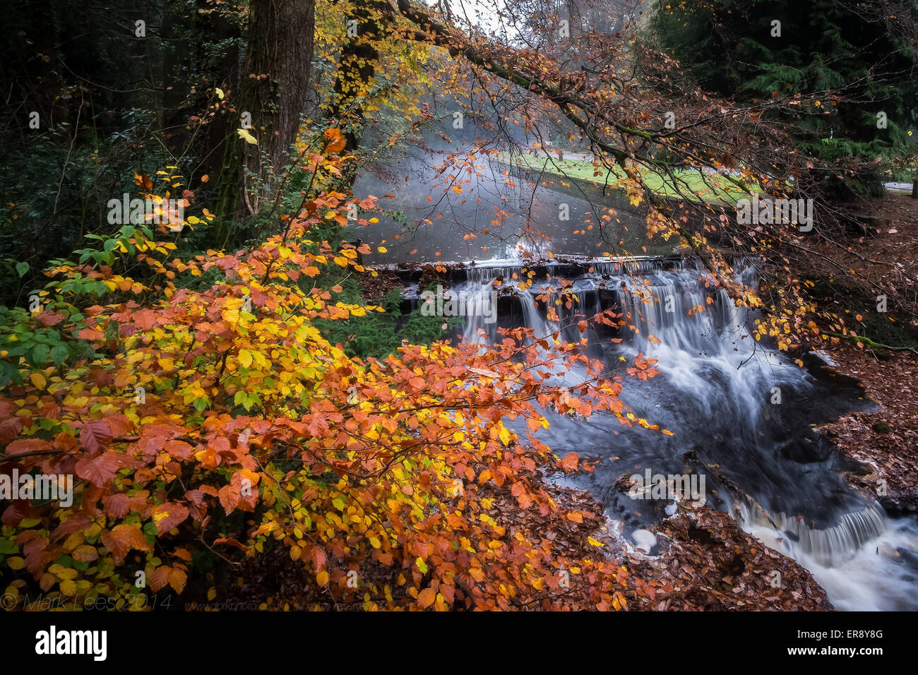 Waterfall through autumn leaves Stock Photo - Alamy