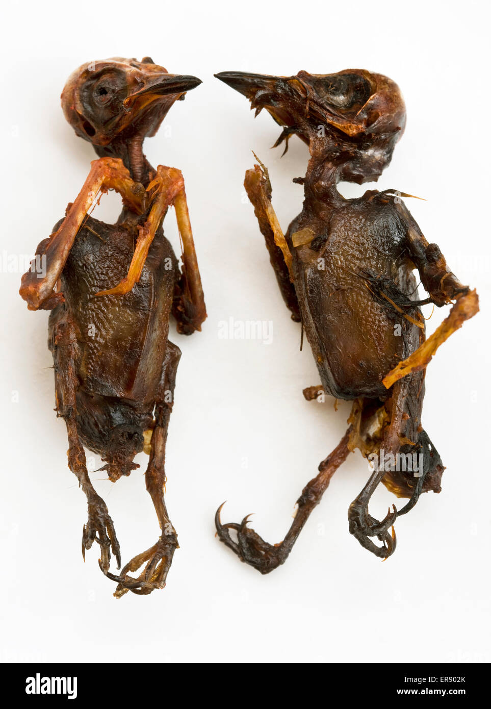 Deep Fried Song Birds sold at street food market in Cambodia - An ...