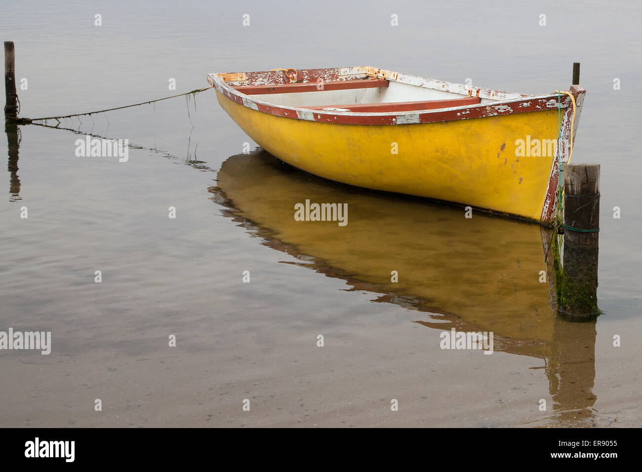 Fishing water river hi-res stock photography and images - Alamy
