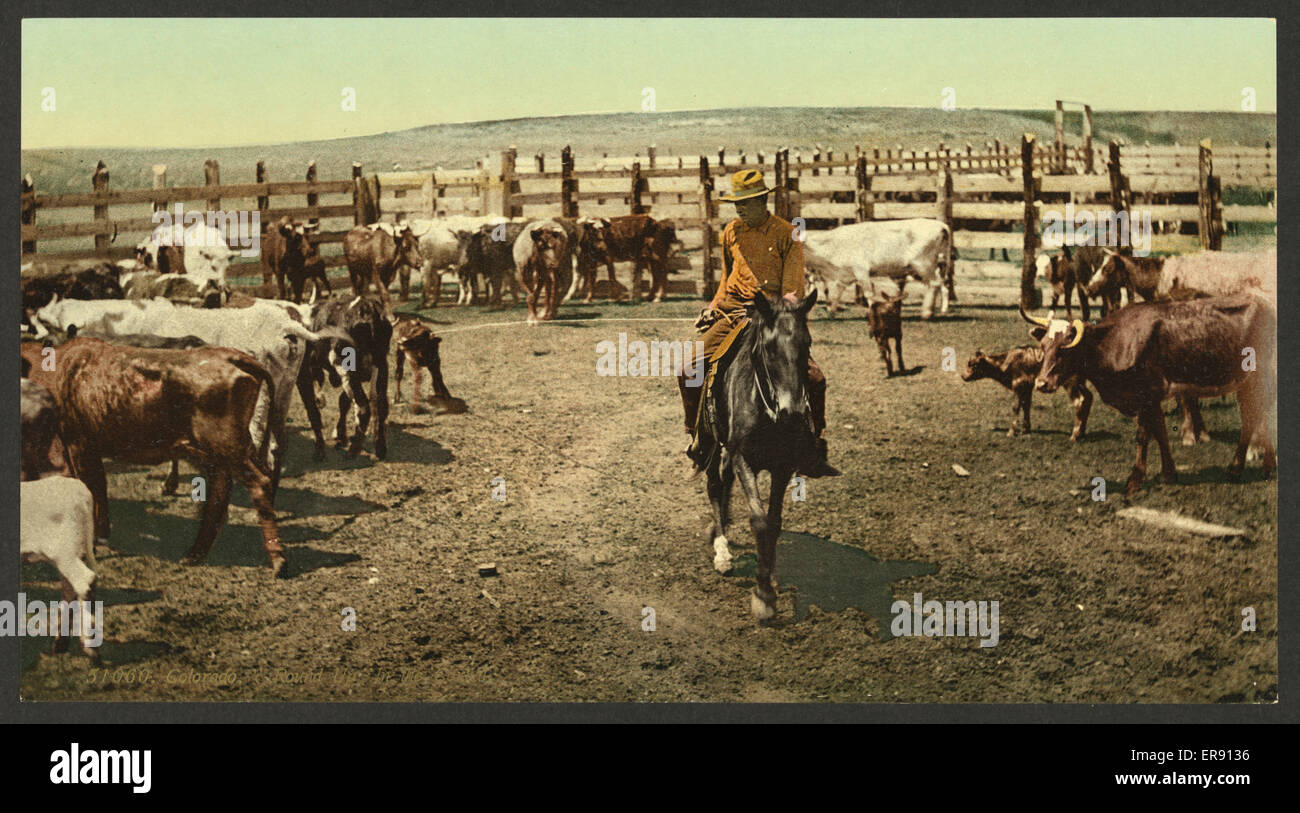 Historical corral hi-res stock photography and images - Alamy