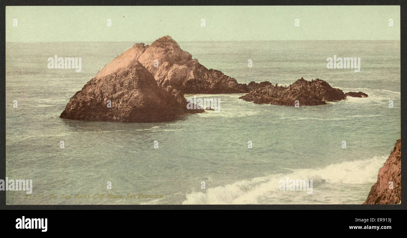 The Seal Rocks, Cliff House, San Francisco Stock Photo - Alamy