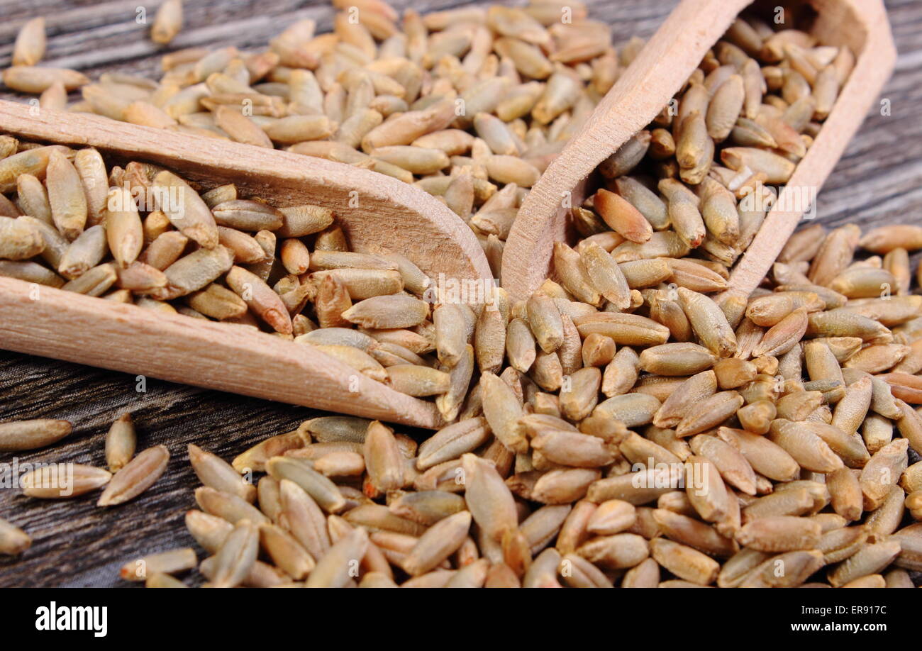 Heap of organic whole rye grain with wooden spoon lying on wooden ...