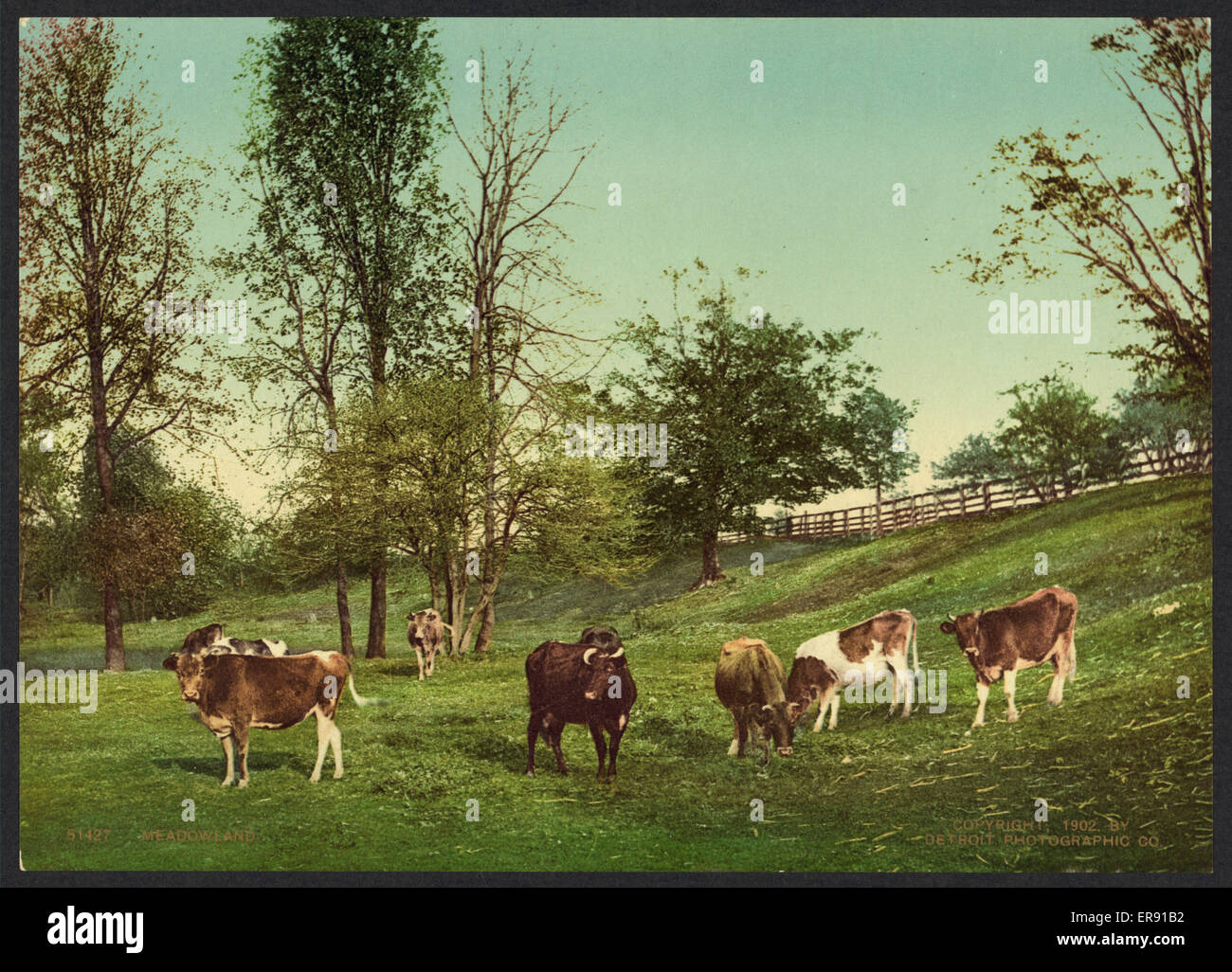 Meadowland hi-res stock photography and images - Alamy