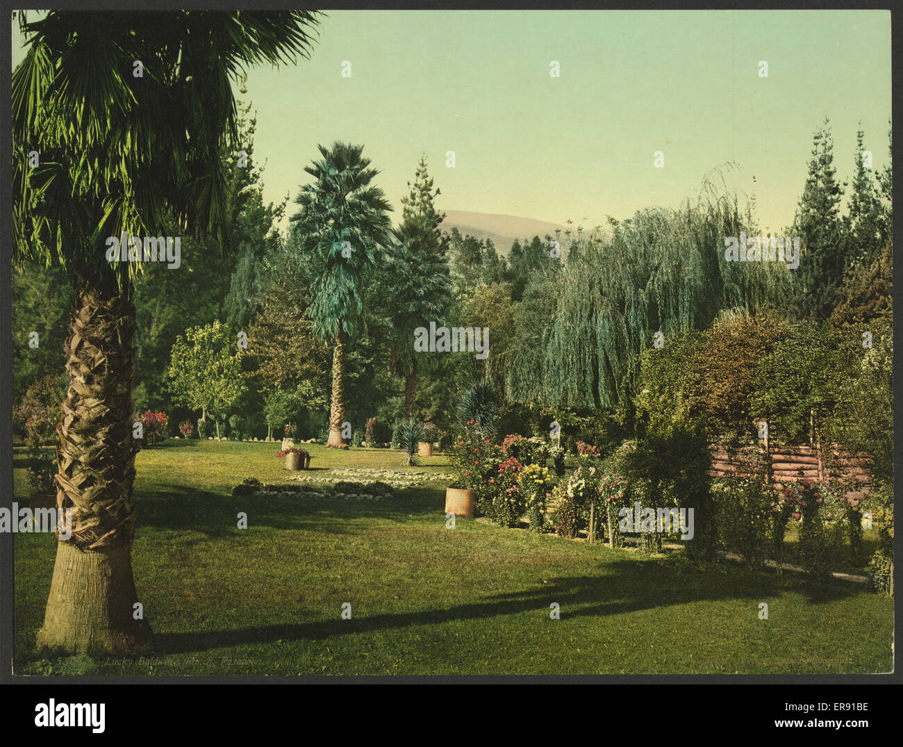 Lucky Baldwin's ranch, Pasadena Stock Photo - Alamy