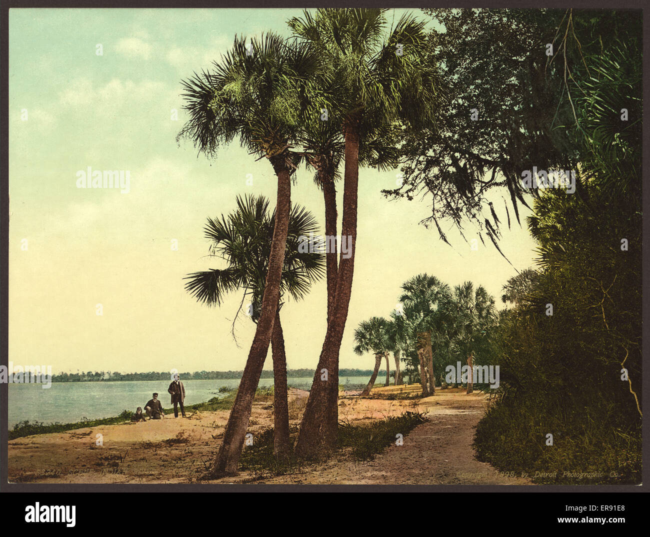 Scene; Indian River, Florida Stock Photo - Alamy
