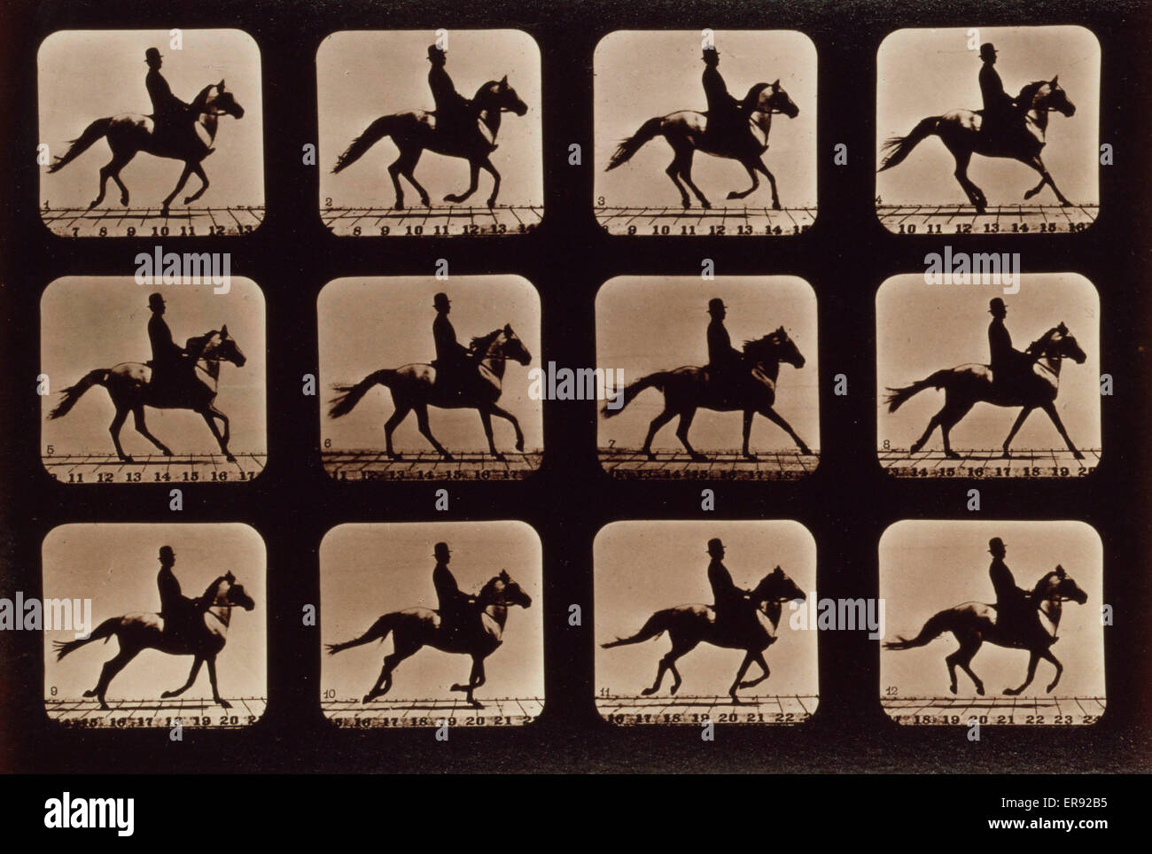 Cantering horse hi-res stock photography and images - Alamy