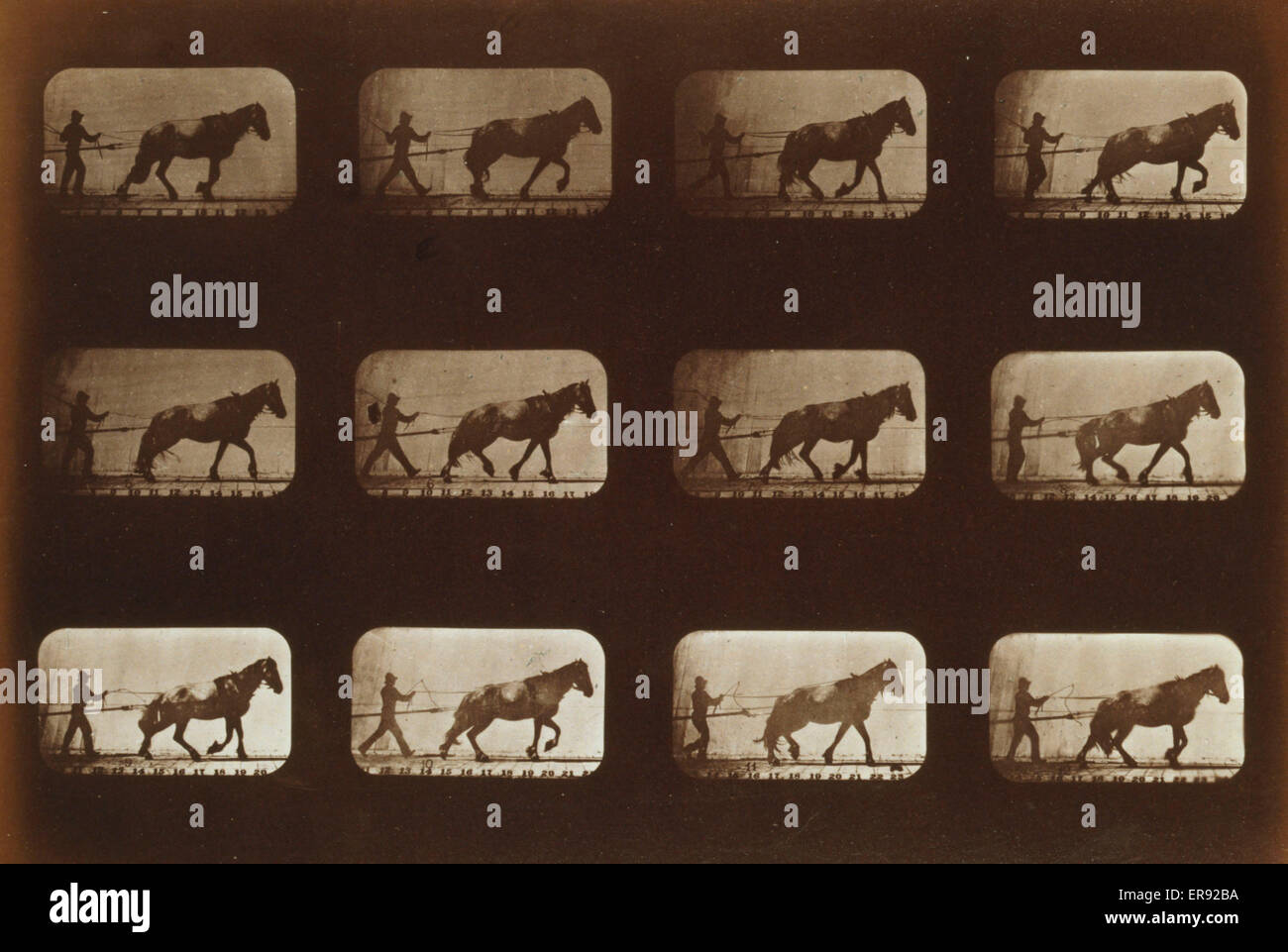 Hauling pulling hi-res stock photography and images - Alamy