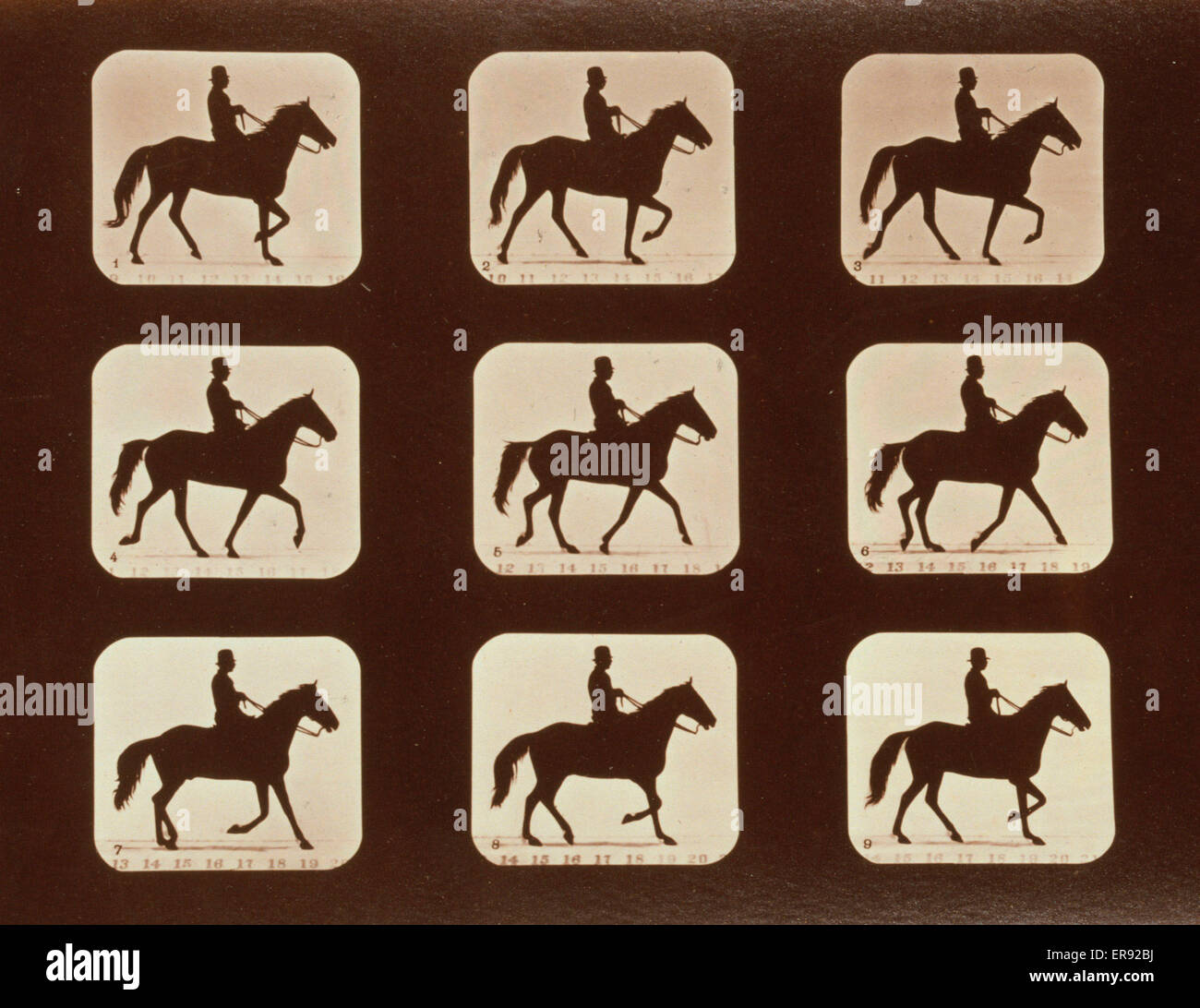 Nine horses hi-res stock photography and images - Alamy