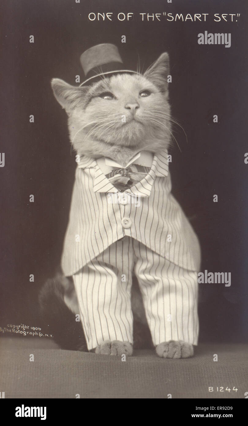 One of the smart set Stock Photo - Alamy