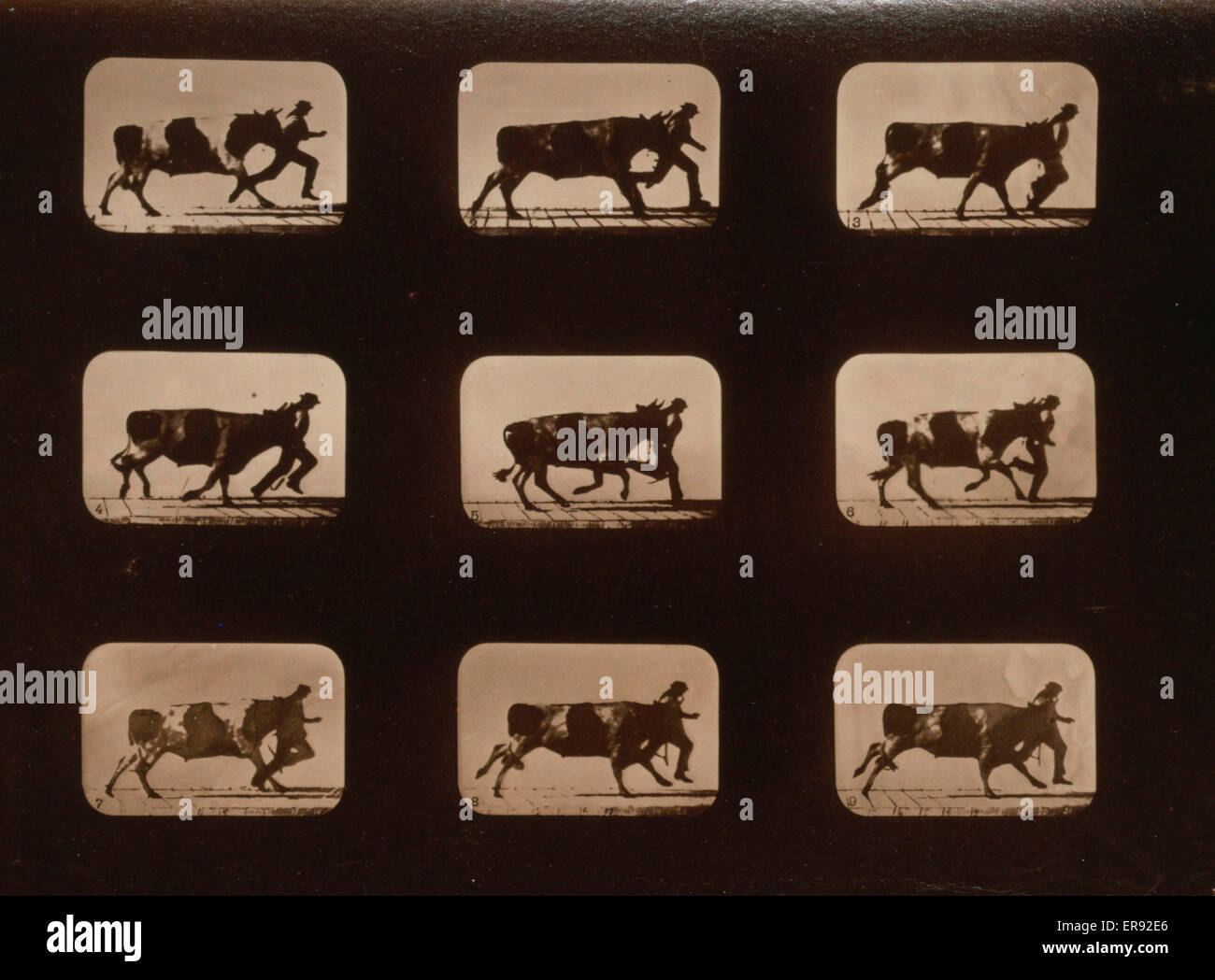 Nine irregular hi-res stock photography and images - Alamy