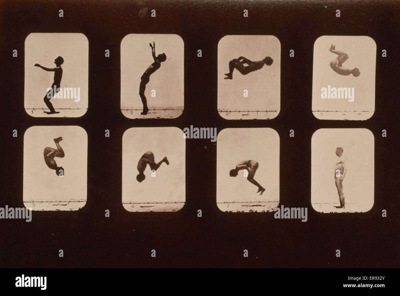 Athletes. Back summersault. Photograph shows eight consecutive images ...