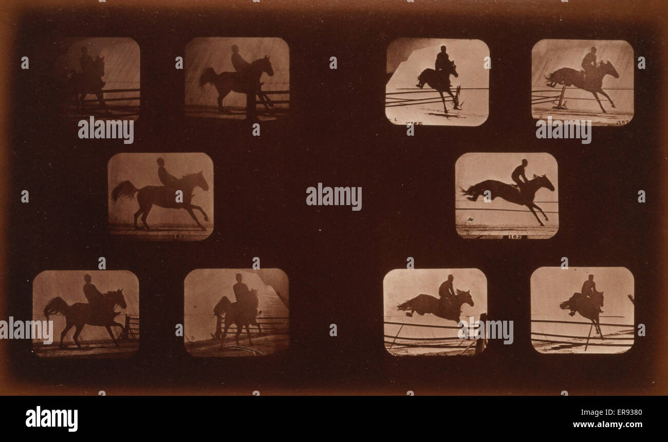 Leaping over fence hi-res stock photography and images - Alamy