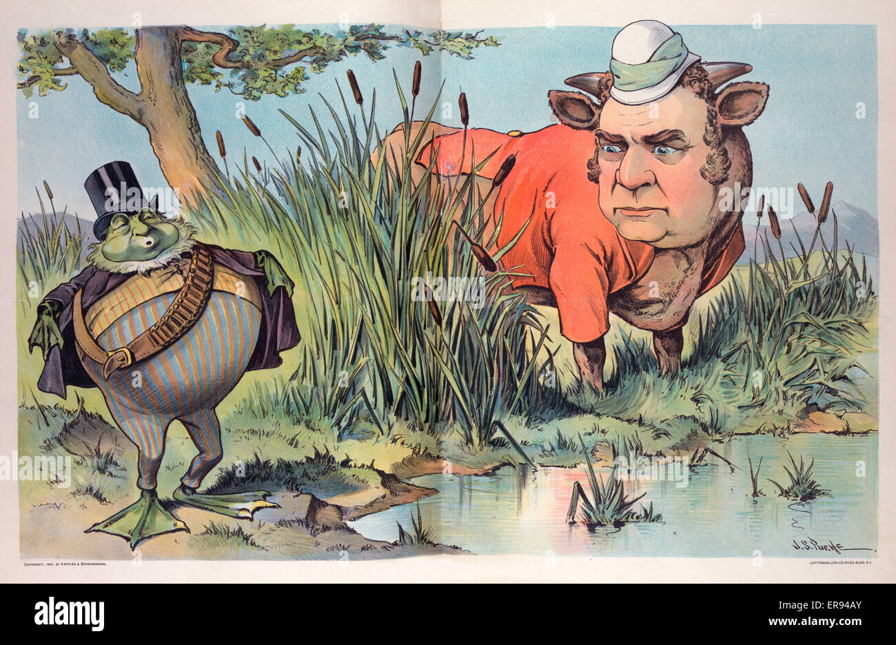 The frog who tried to be as big as a bull. Illustration showing William ...