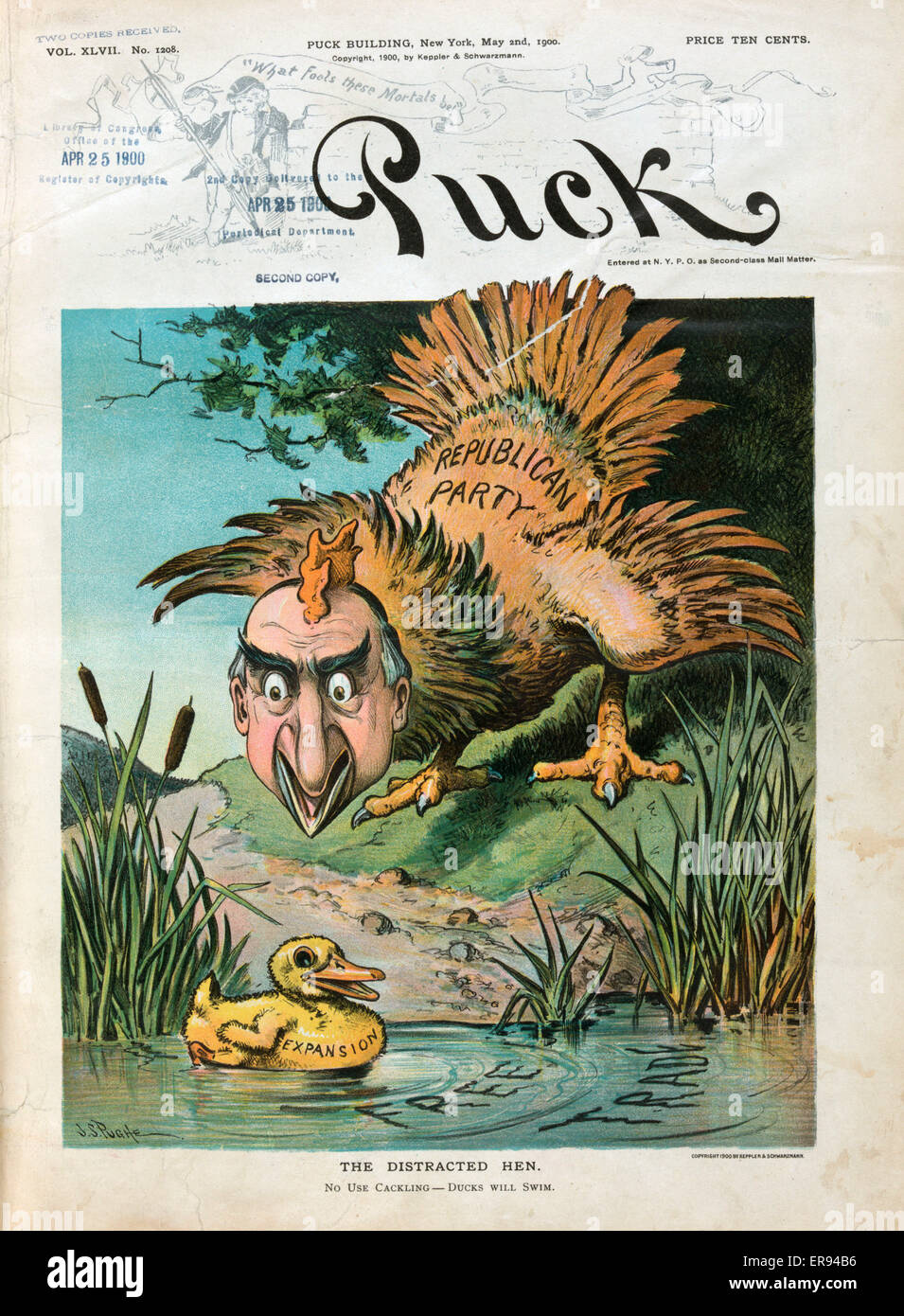 Hen Cartoon Illustration High Resolution Stock Photography and Images ...