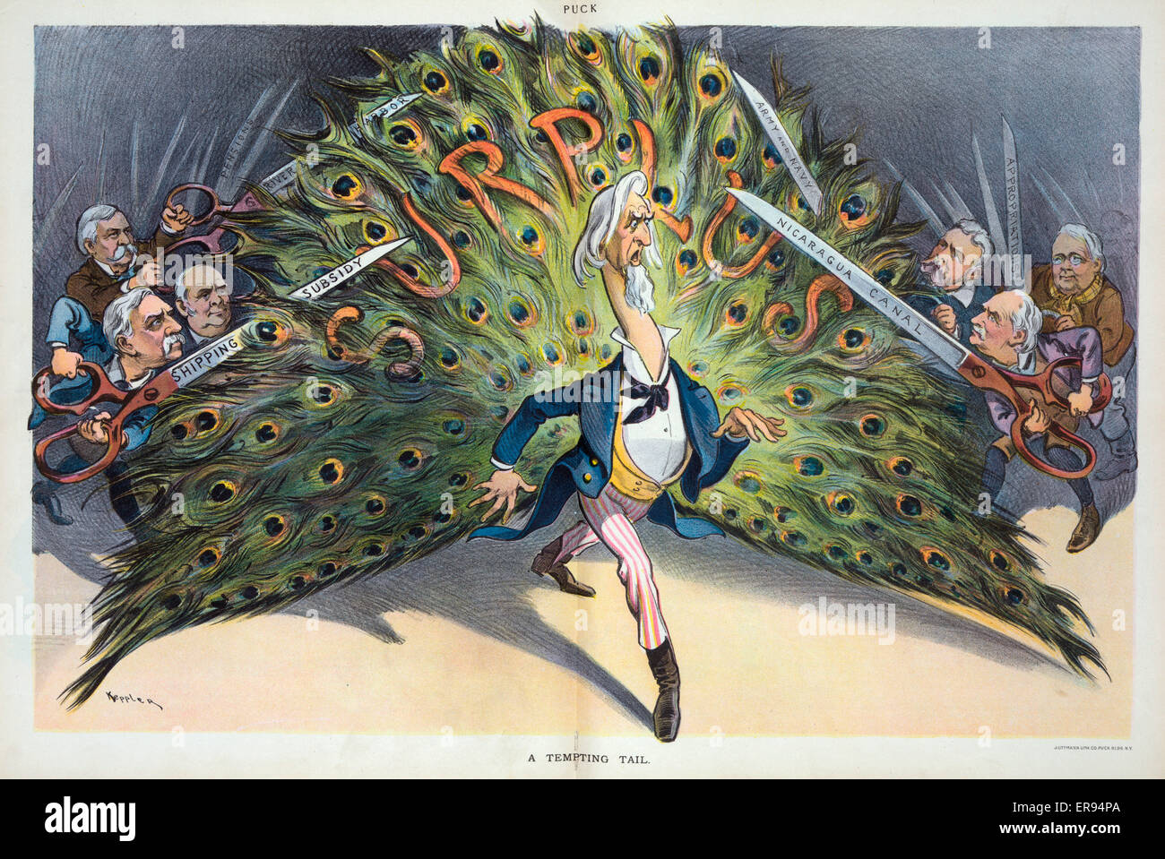 Peacock Feathers Illustration High Resolution Stock Photography and ...