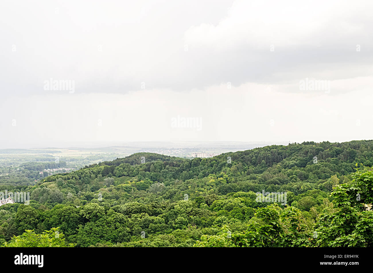 wood landscape from height Stock Photo - Alamy