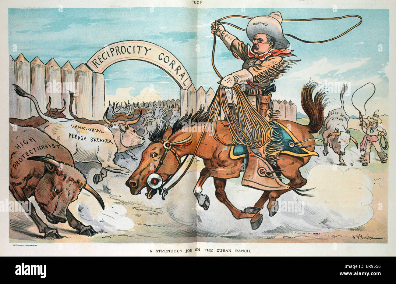 A strenuous job on the Cuban ranch Stock Photo - Alamy