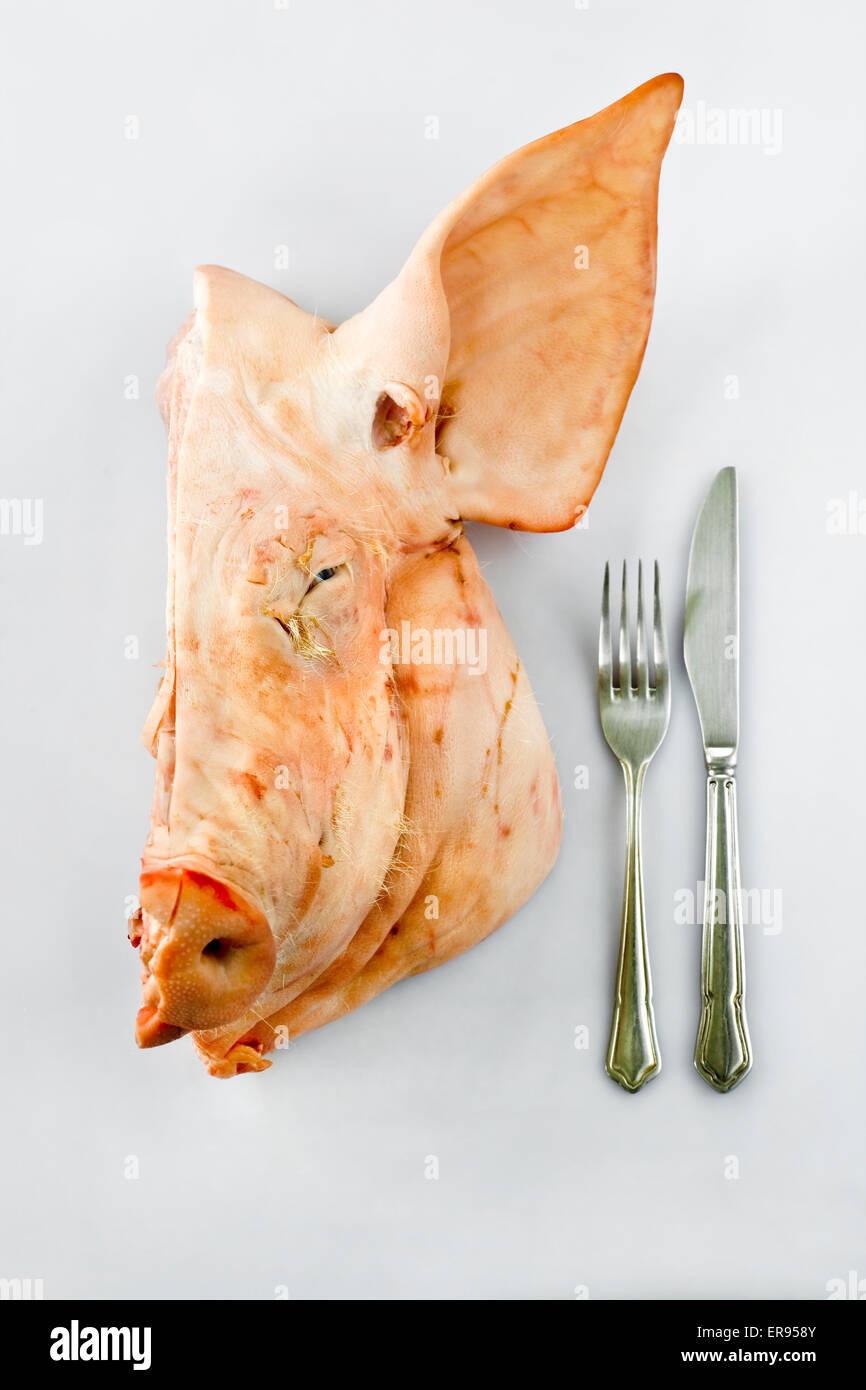Pig skull hi-res stock photography and images - Alamy