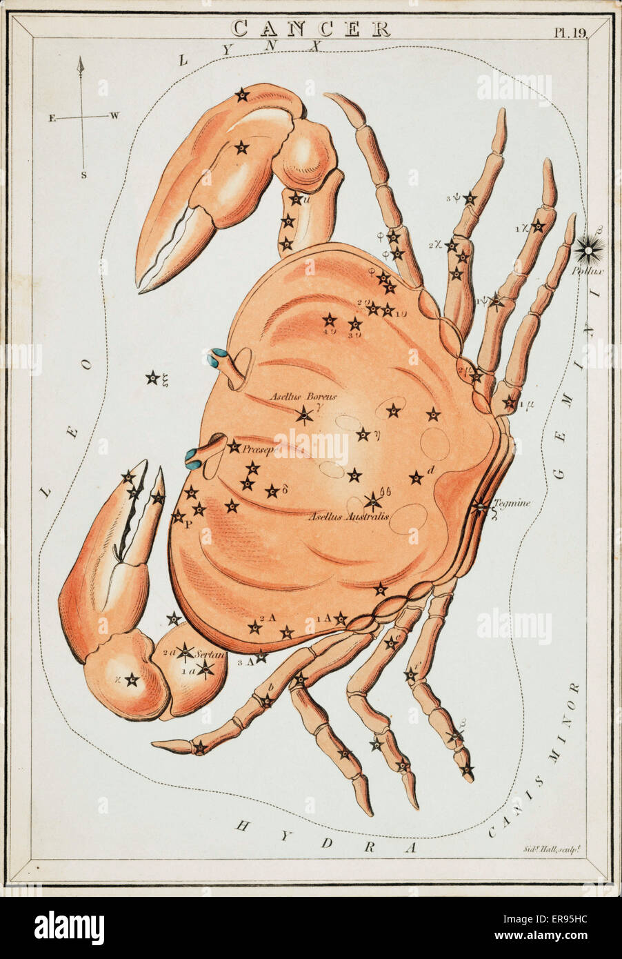 Cancer of the hi-res stock photography and images - Alamy