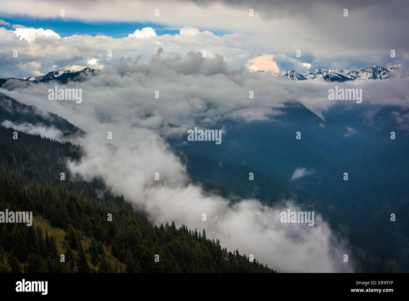 View of mountains and low clouds from Hurricane Ridge, in Olympic ...