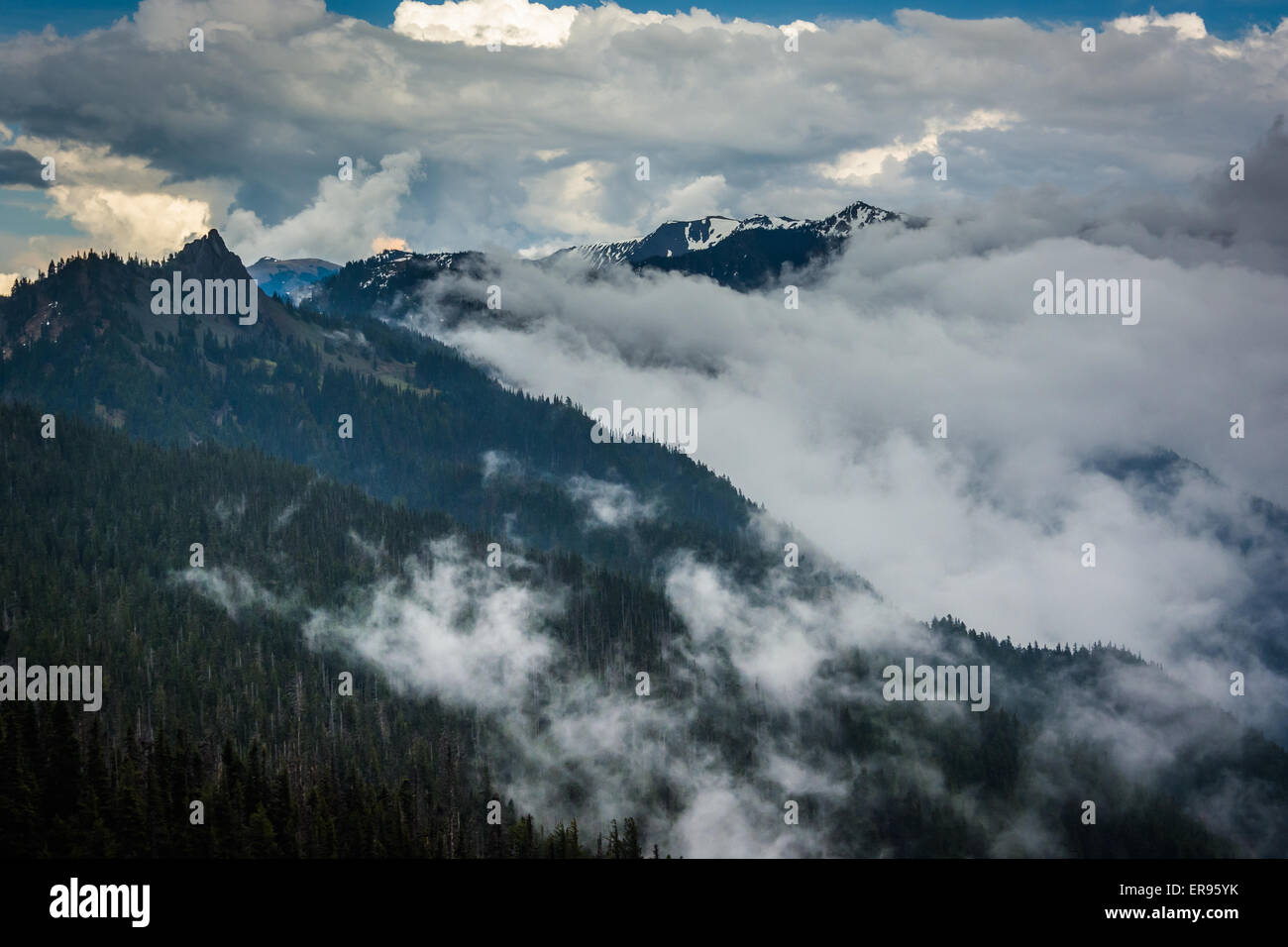 View of mountains and low clouds from Hurricane Ridge, in Olympic ...