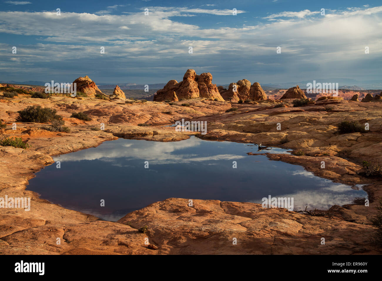 View of the Vermilion Cliffs National Monument reflected in a pool of ...