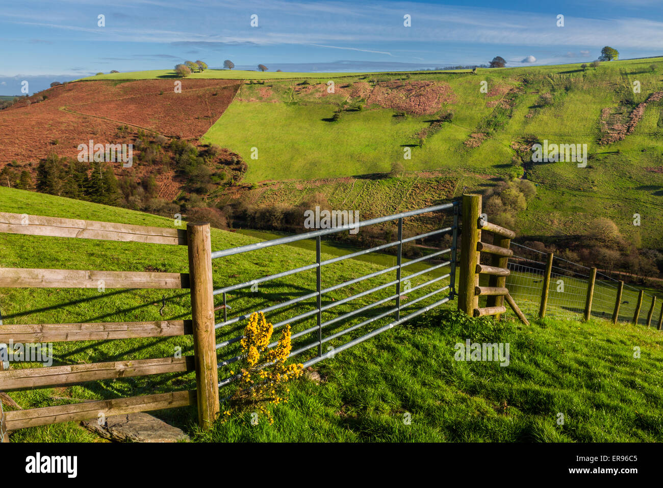 River exe exmoor hi-res stock photography and images - Alamy