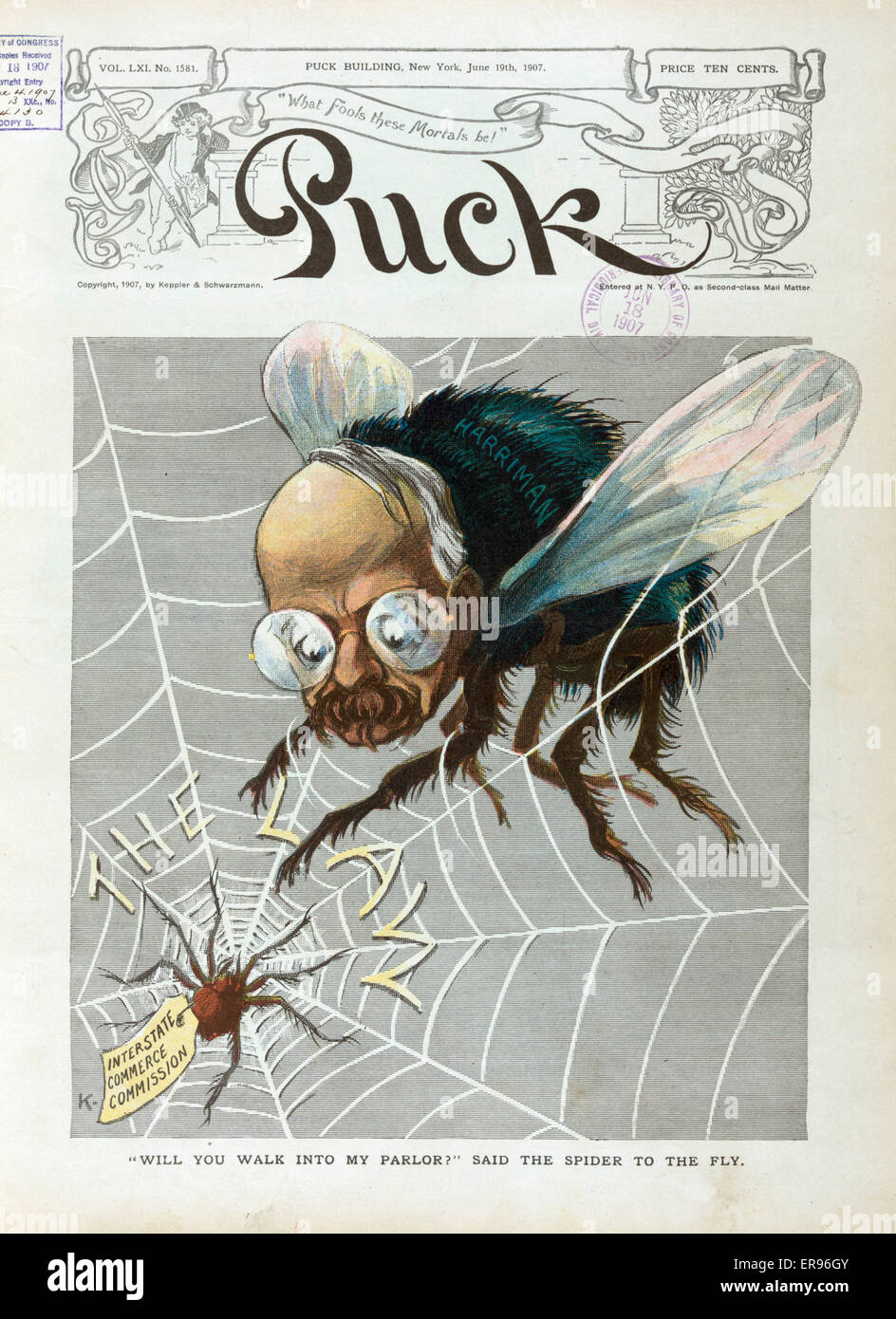 Large spider in a web hi-res stock photography and images - Alamy