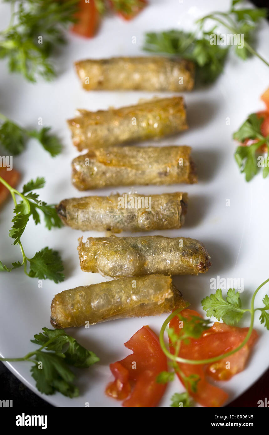 Snakes of vietnam hi-res stock photography and images - Alamy